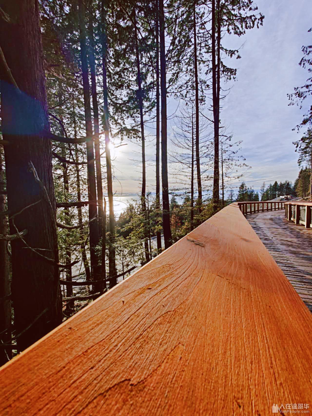 治愈 - 欢乐灌水-人在温哥华 VanPeople.com